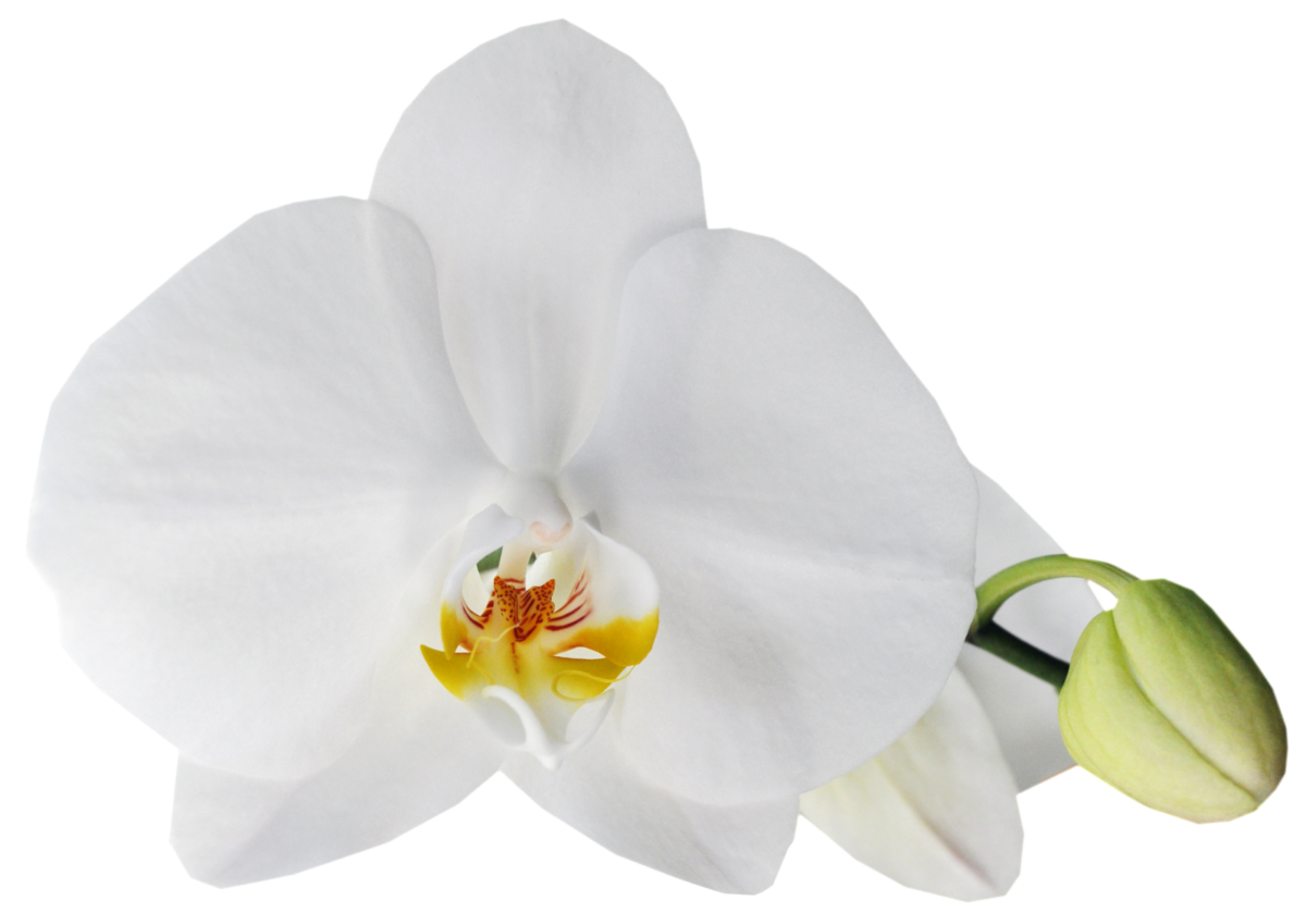 Philadelphia area jazz and blues singer - Anakai Music